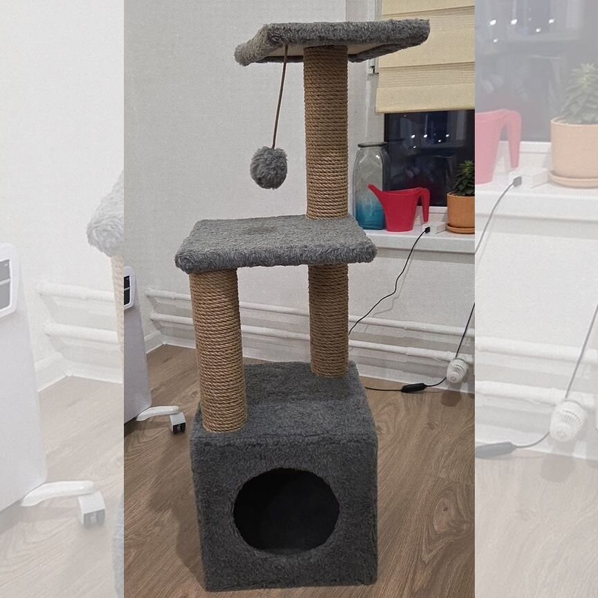 Когтеточка