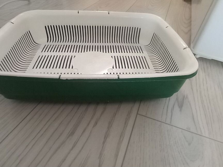 Кошачий лоток