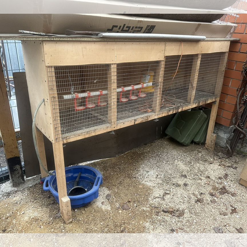 Курятник, Домик для птенцов с элек и водой