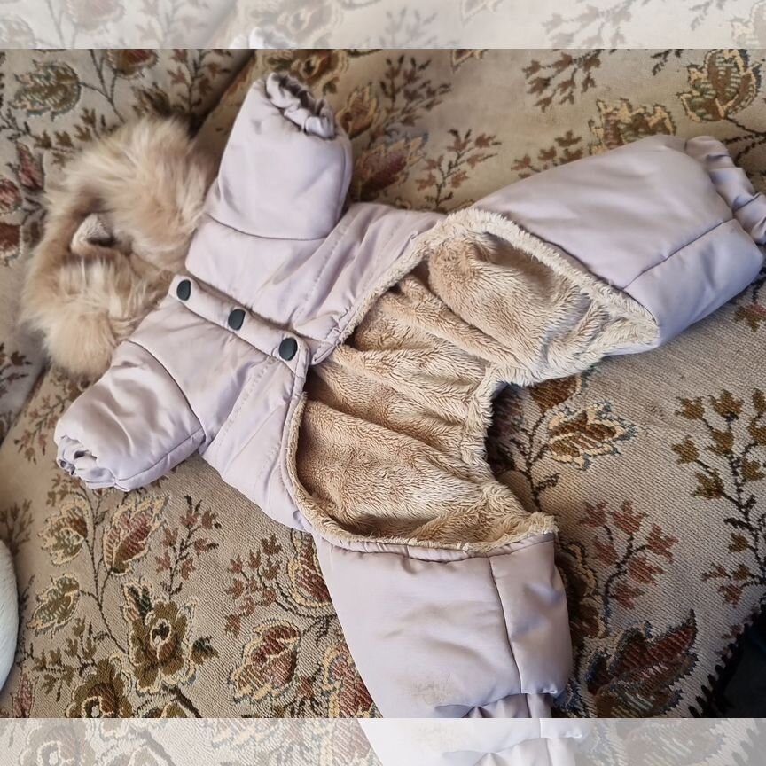 Одежда для собак мелких пород