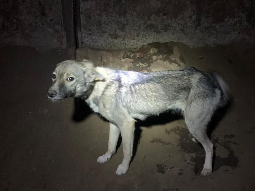 Я верю что меня заберут