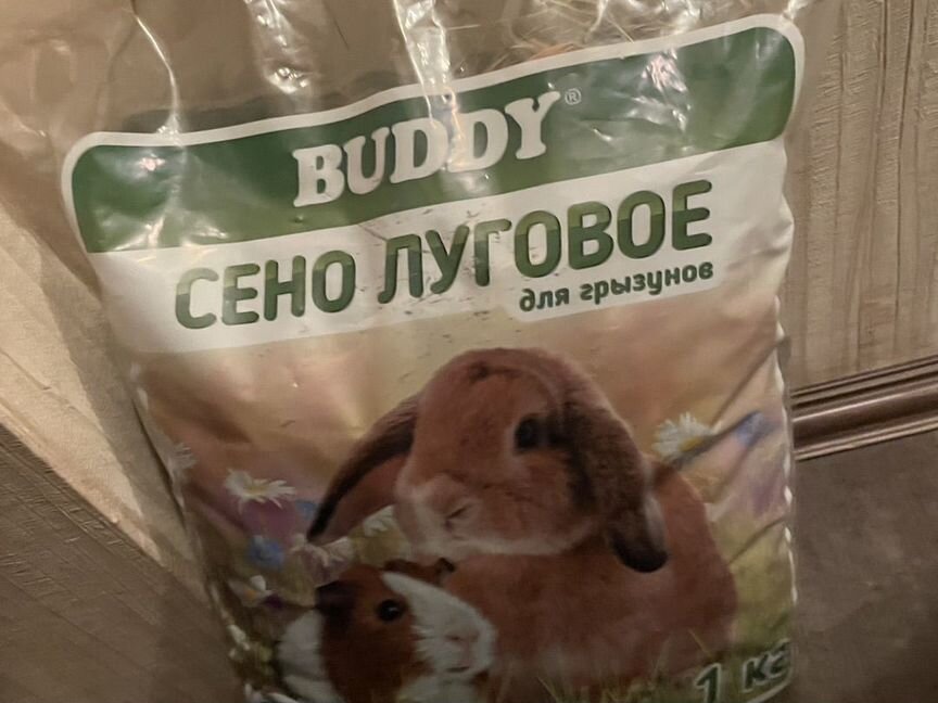 Вещи для грызунов