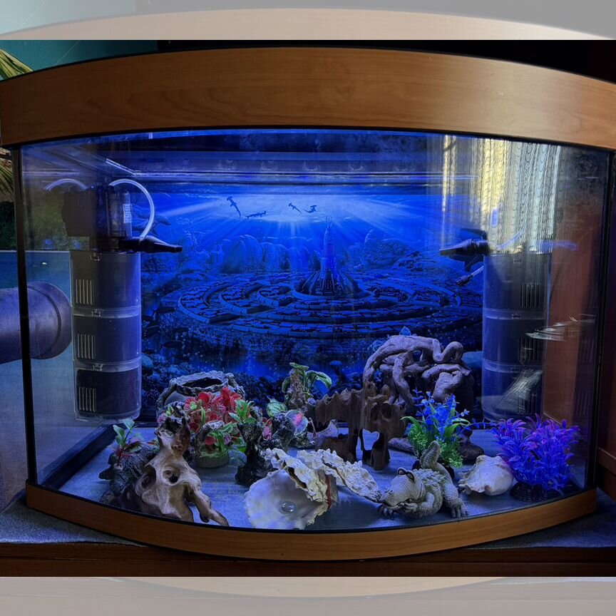Аквариум панорамный 100 литров
