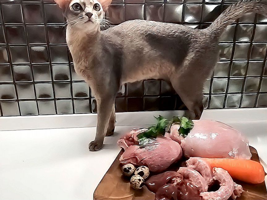 Натуральное питание для кошек (мясные миксы)