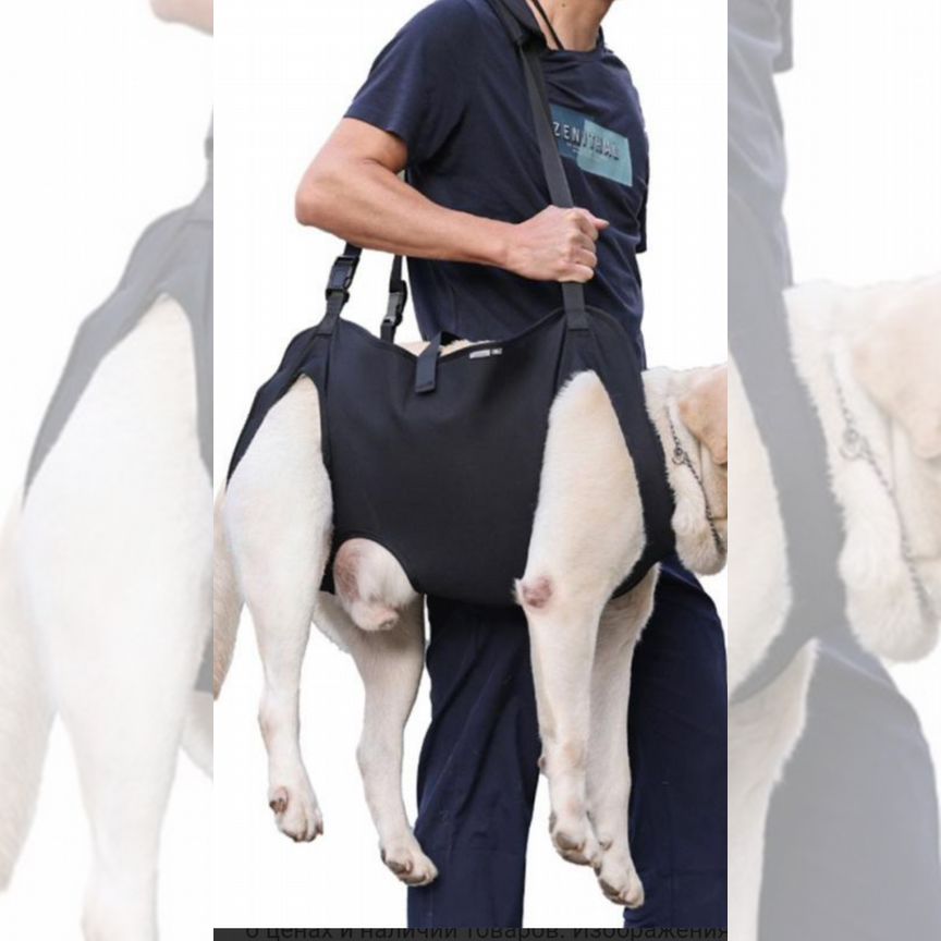 Переноска крупной собаки