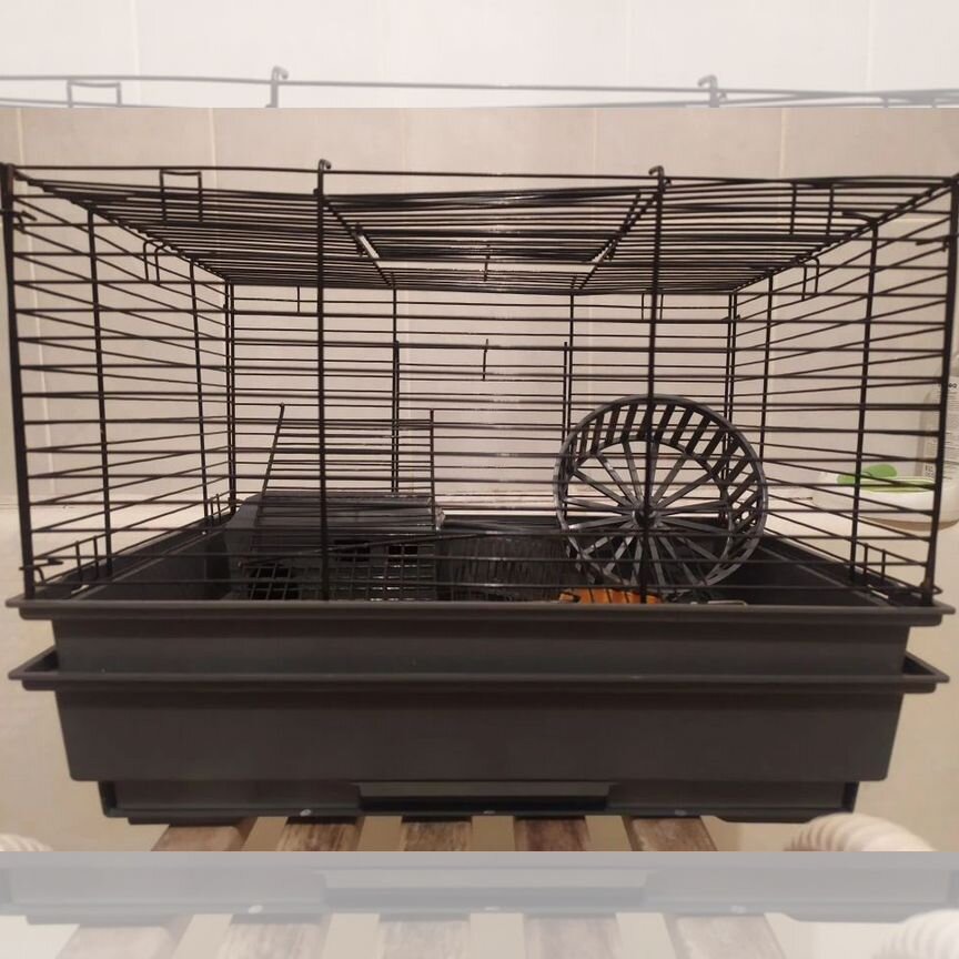 Клетка для грызунов бу