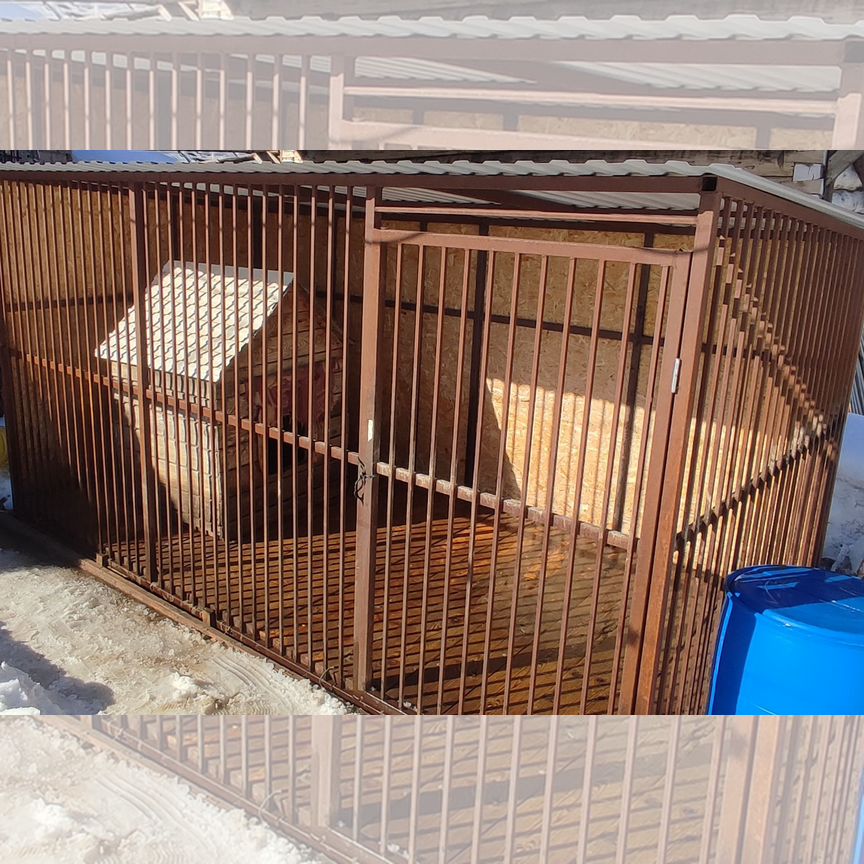 Вольер для собак