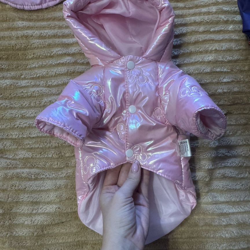 Одежда для маленьких собак