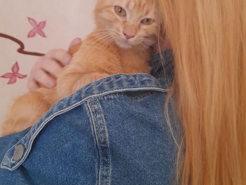 Голди