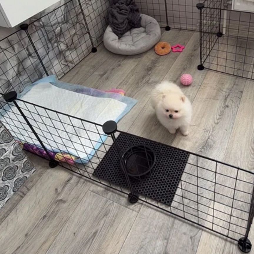 Вольер для животных клетка