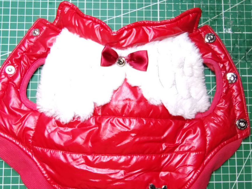 Курточка для Йорка