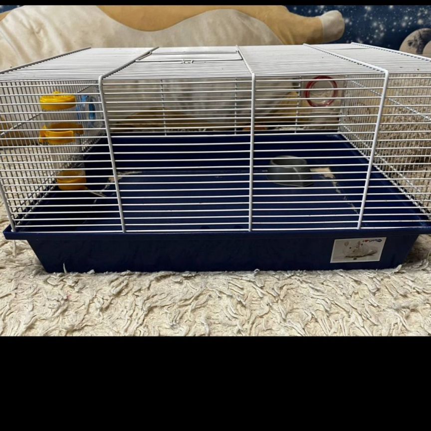 Клетки для грызунов бу