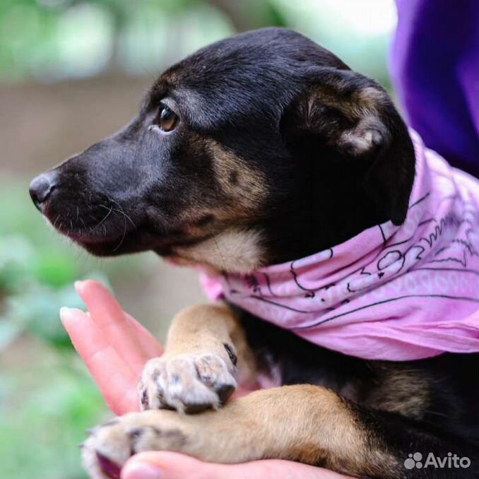 Мамочка, я тебя так жду