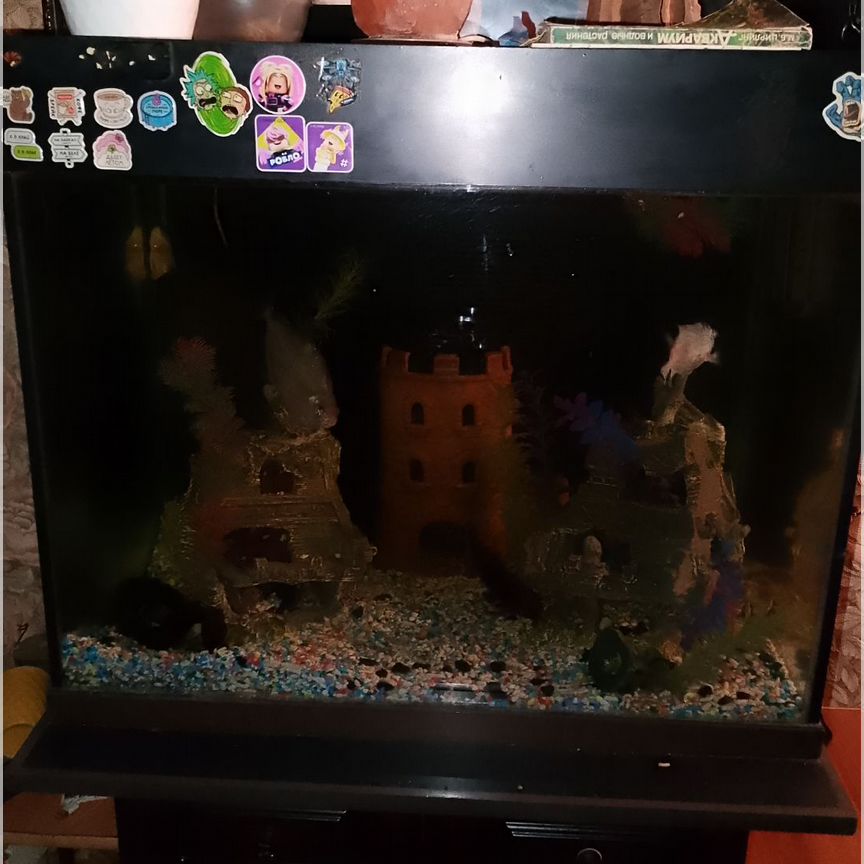 Аквариум с рыбками