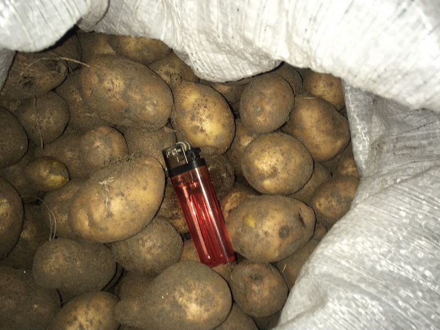 Картофель мелкий, морковь