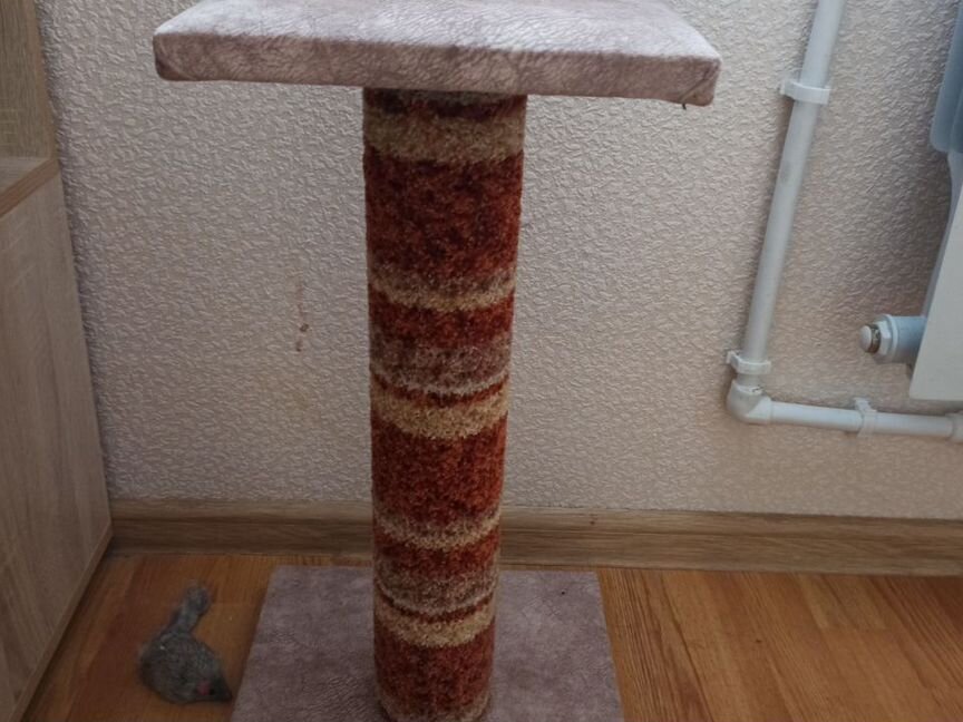 Когтеточка