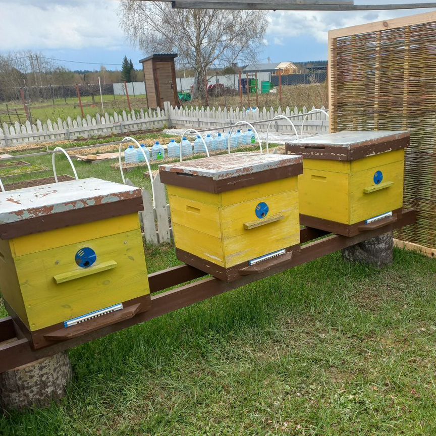 Ульи Дадан 12 рамочные