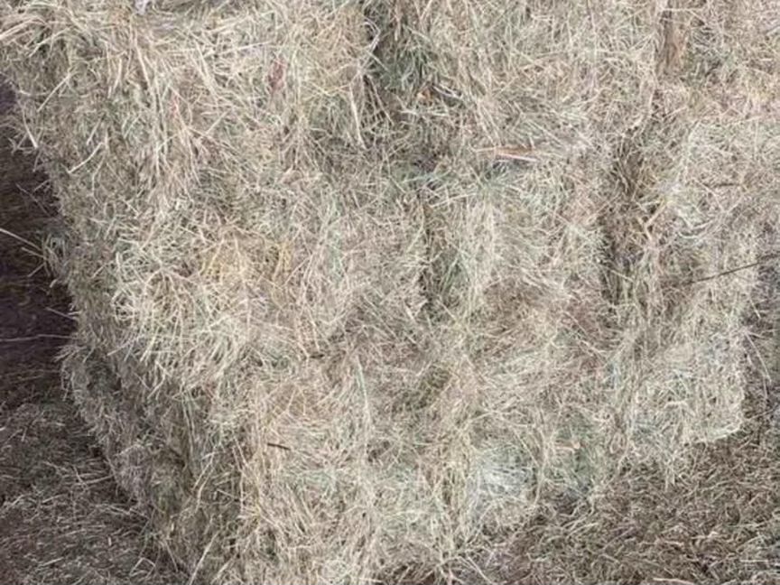 Сено в брикетах