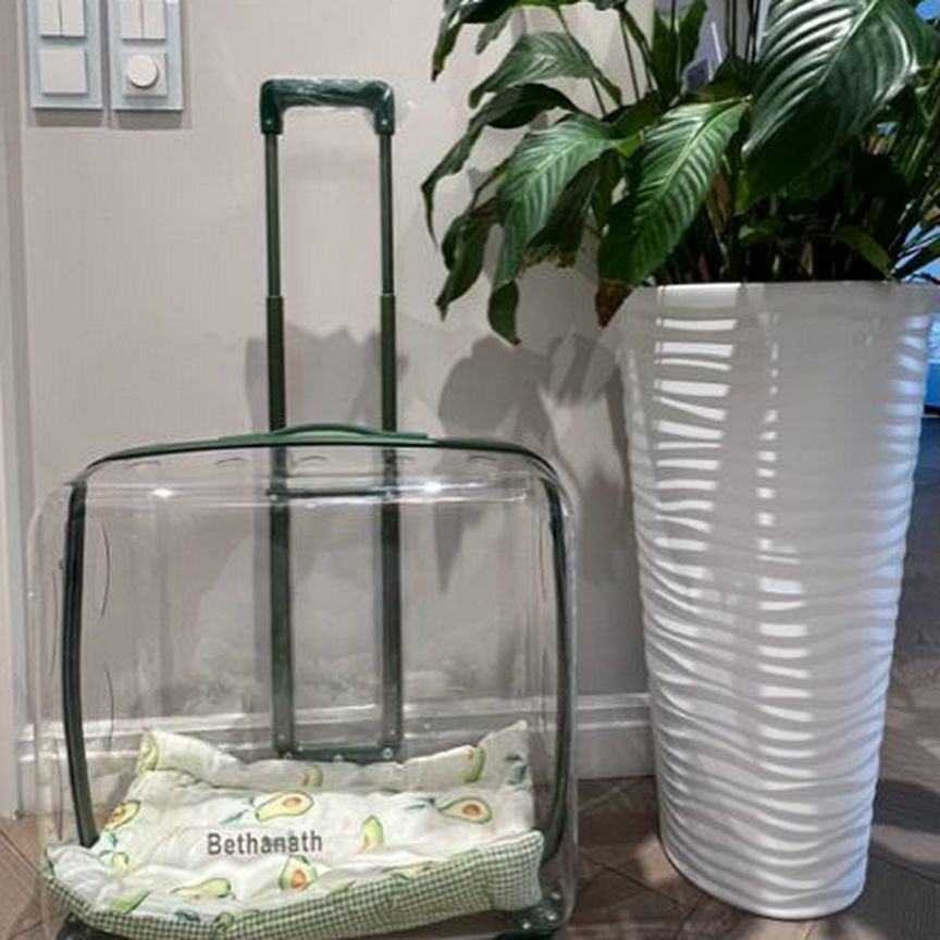 Прозрачный чемодан на колесиках для животных