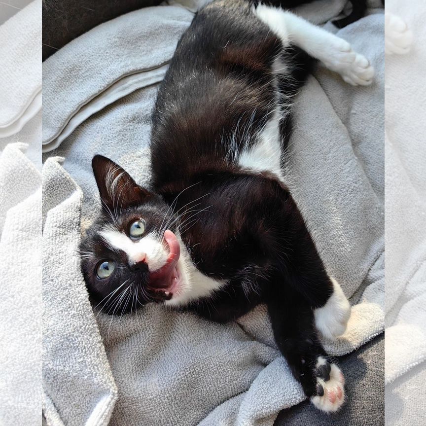 Погибала на улице малышка