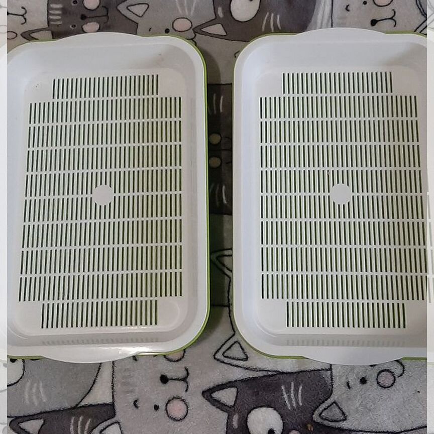 Вещи для собак и кошек