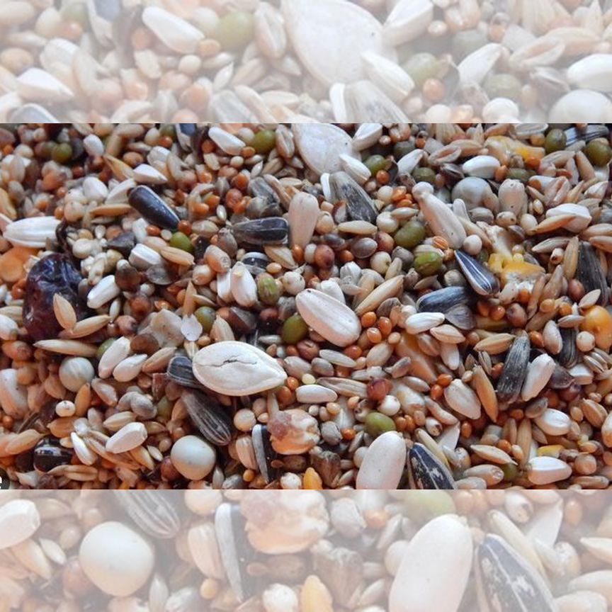 Корм   угощение   для костей Бронь для Ирины