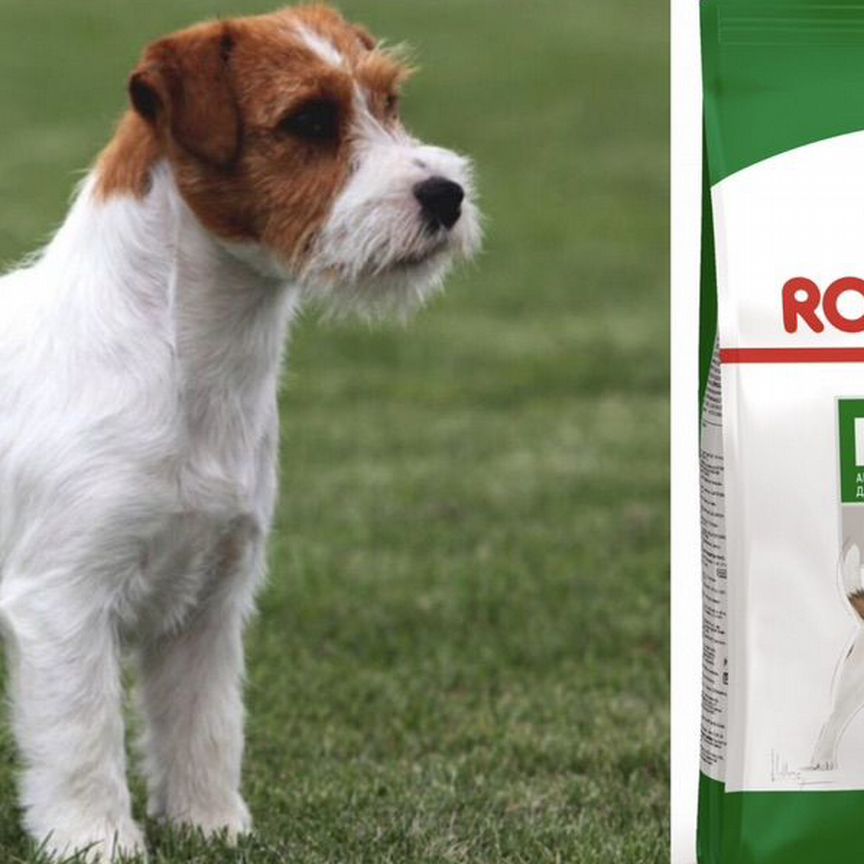 Royal Canin Mini Adult 6 и 15 кг