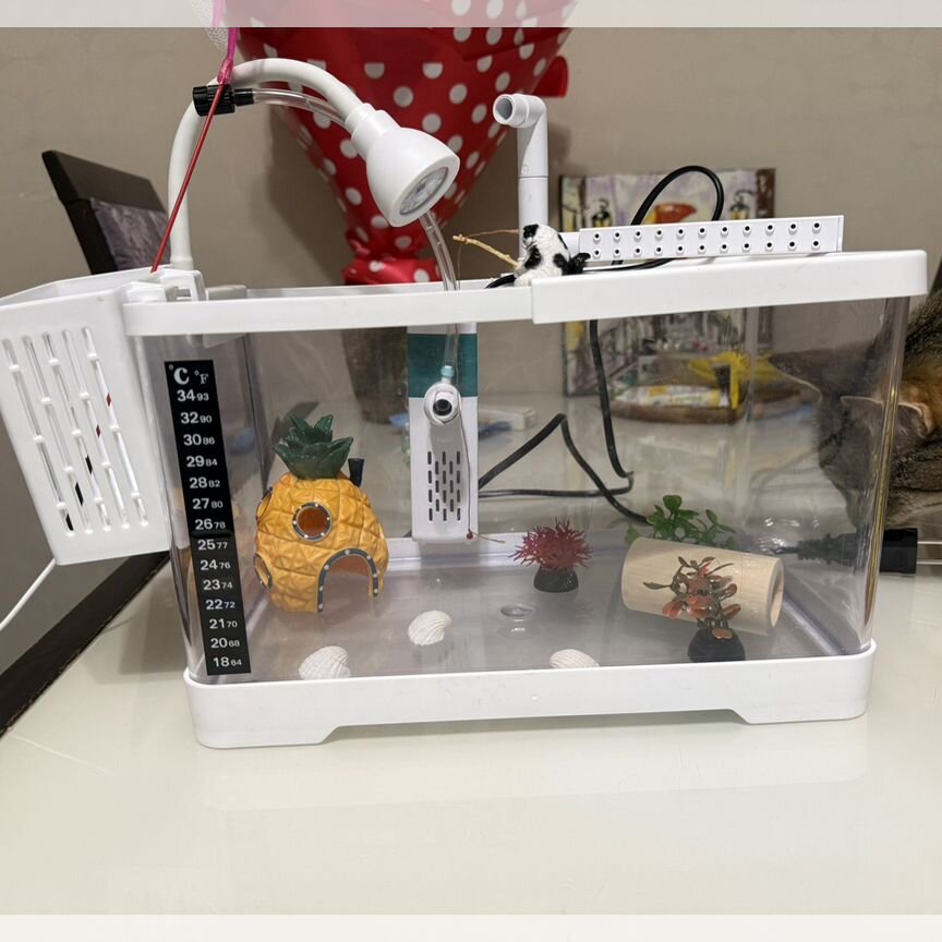 Аквариум для рыбок