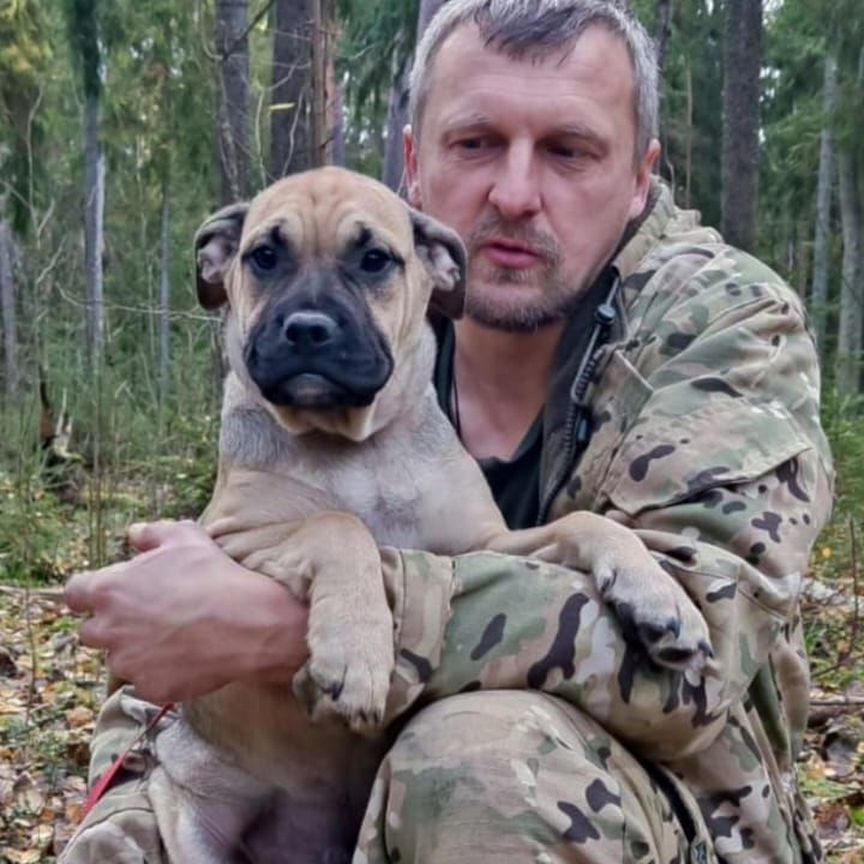 Кадебо щенок