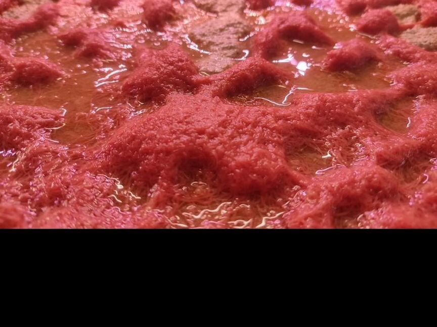 Трубочник Изя