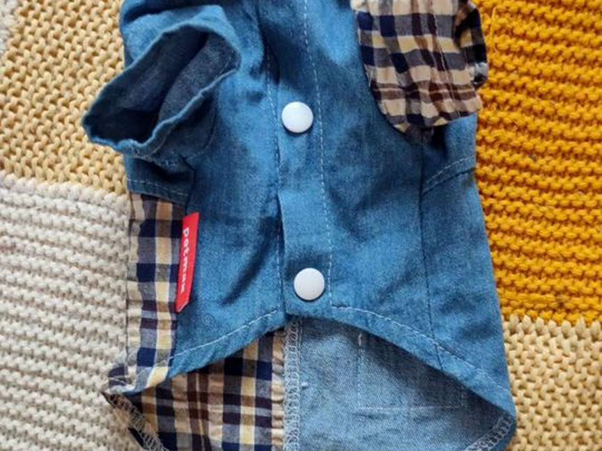 Рубашка для маленькой собачушки