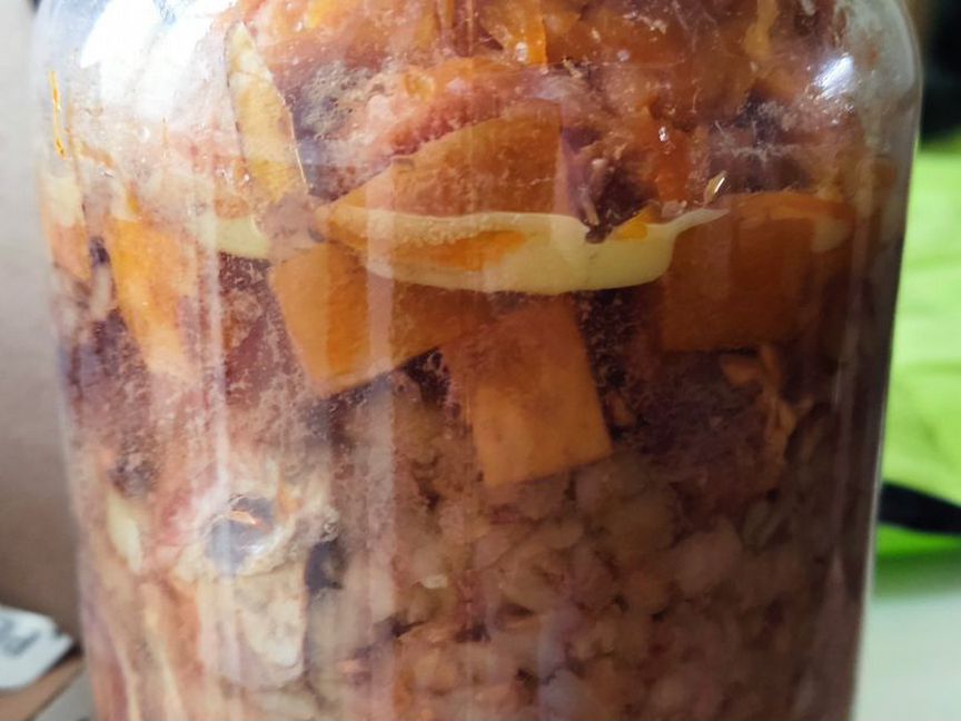 Консервы для собак