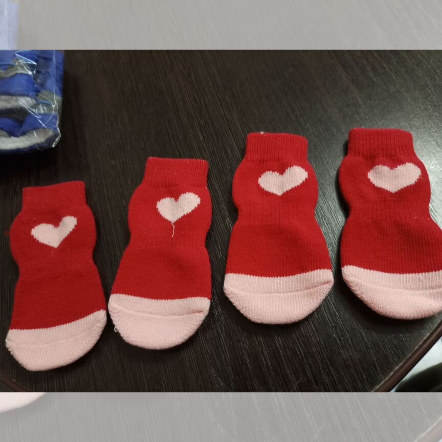 Носки для собак прорезиненные