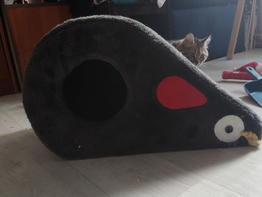 Домик для кошки б/у
