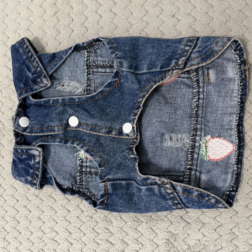 Одежда для маленьких собак