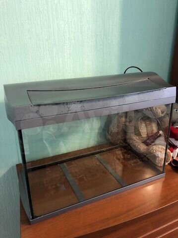 Аквариум террариум