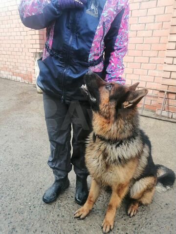 Отдаем малыша в любящие руки